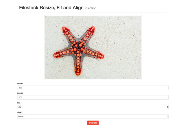 Resize, Fit and Align Images with Filestack and React