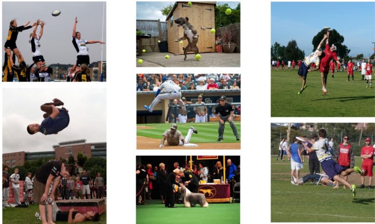 Measuring image similarity with N-dimensional vectors