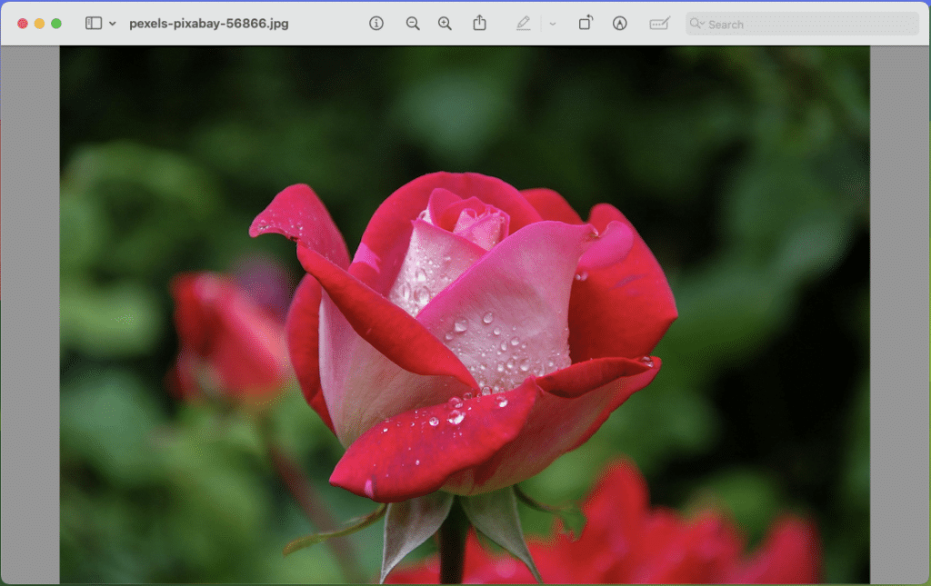 The Complete List of Document File Extensions for Developers