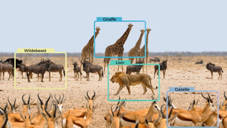 Unlocking the Power of Object Recognition API: A Beginner's Guide Unlocking the Power of Object Recognition API: A Beginner's Guide