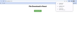The Ultimate Guide to File Downloads in React Using APIs