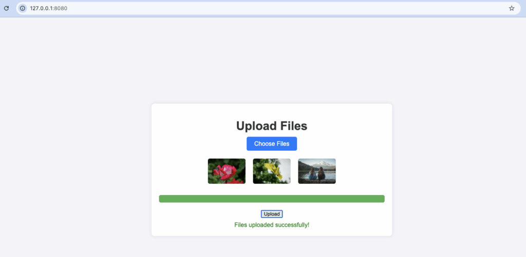 Step-by-Step HTML File Upload Example with JavaScript